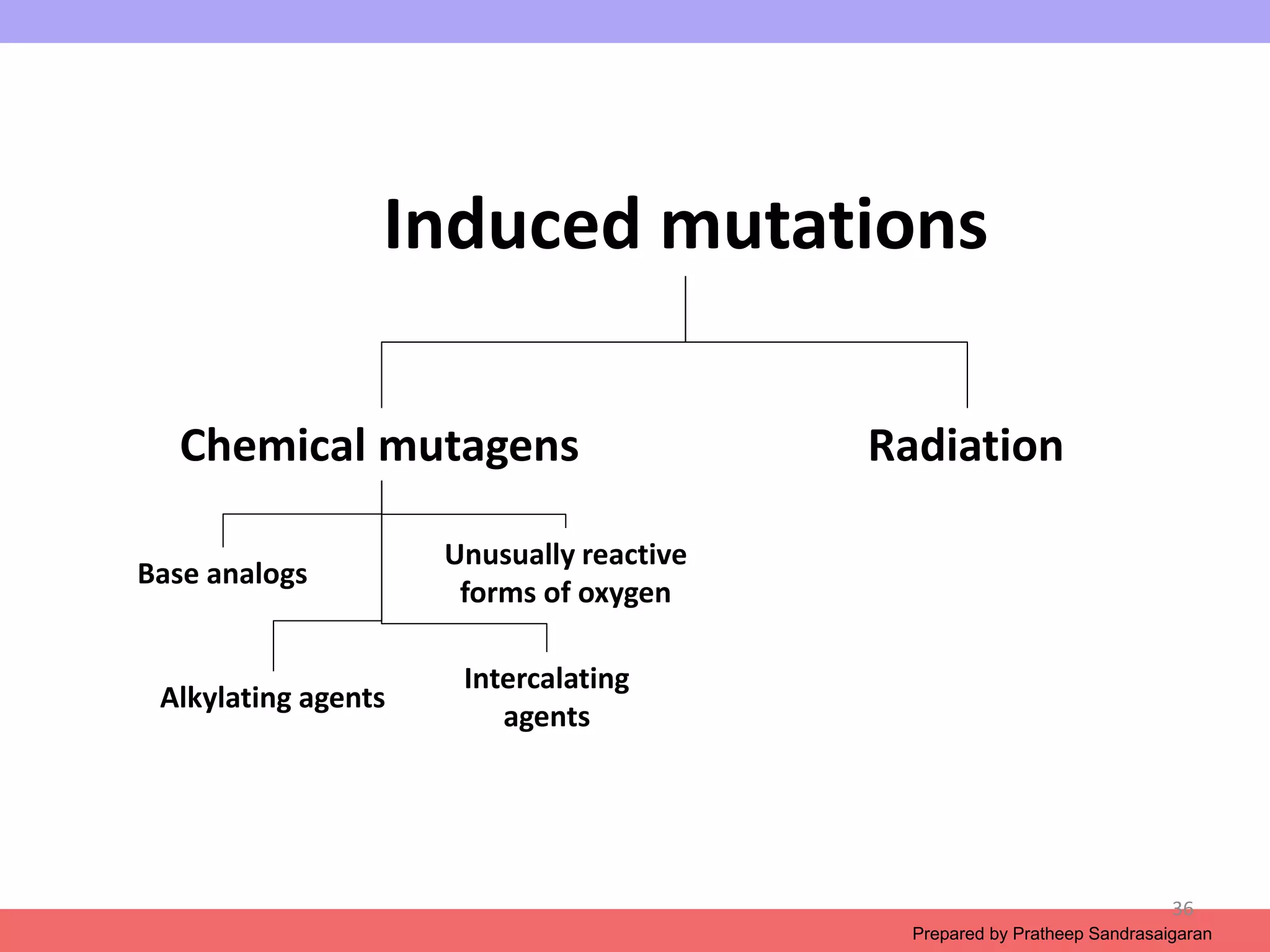 Ch7_Mutation- types and its effects.ppt
