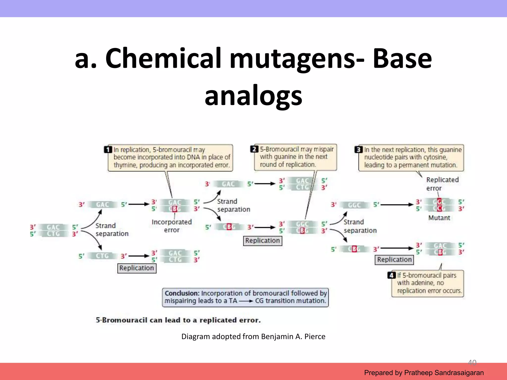 Ch7_Mutation- types and its effects.ppt