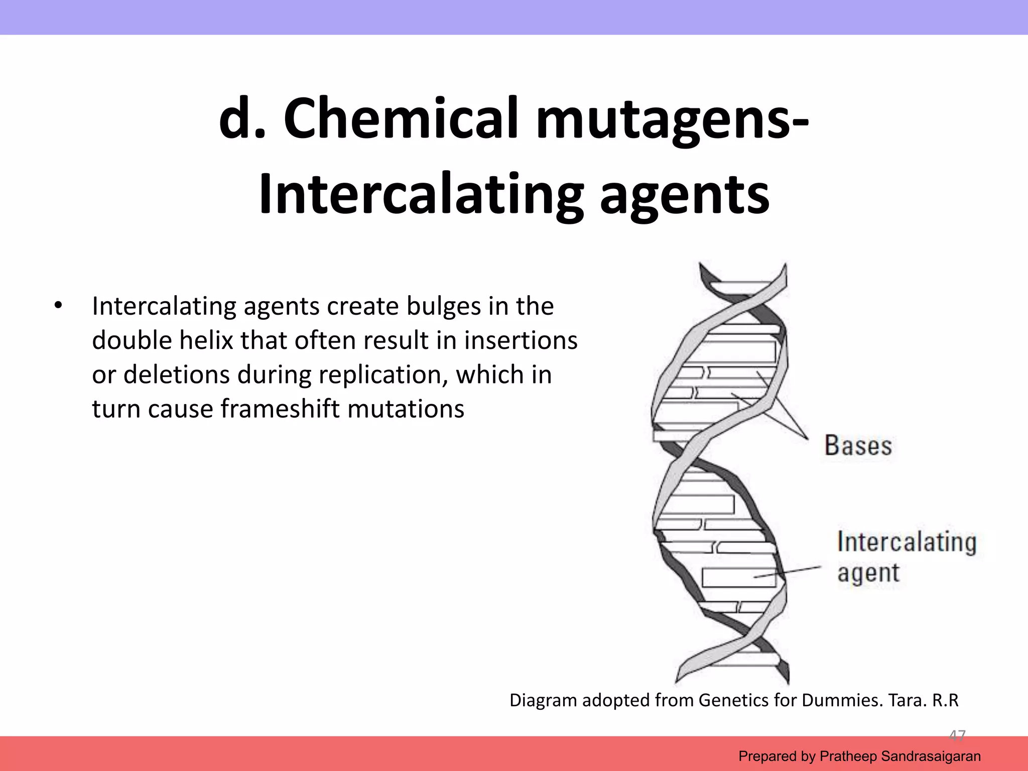 Ch7_Mutation- types and its effects.ppt
