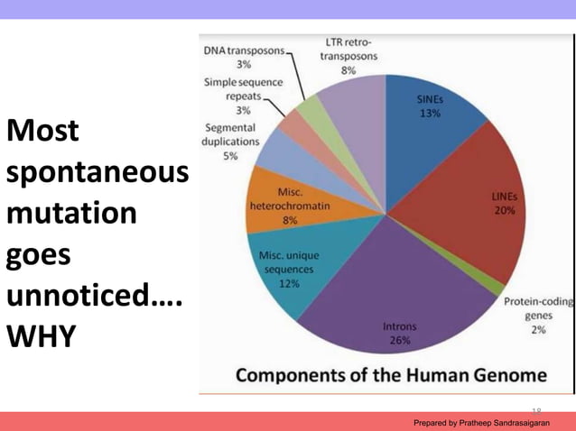 Ch7_Mutation- types and its effects.ppt