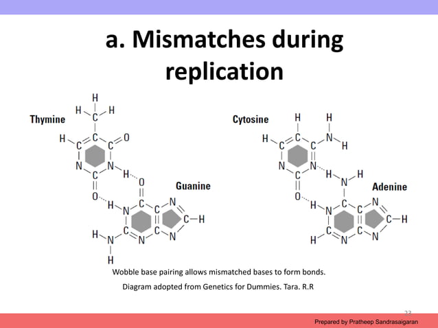 Ch7_Mutation- types and its effects.ppt