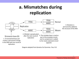 Ch7_Mutation- types and its effects.ppt