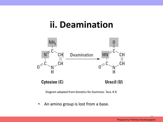 Ch7_Mutation- types and its effects.ppt
