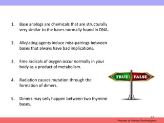 Ch7_Mutation- types and its effects.ppt