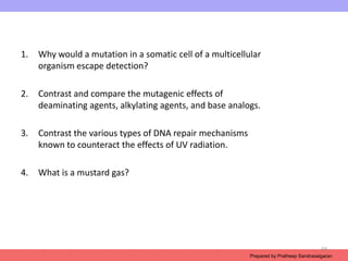 Ch7_Mutation- types and its effects.ppt