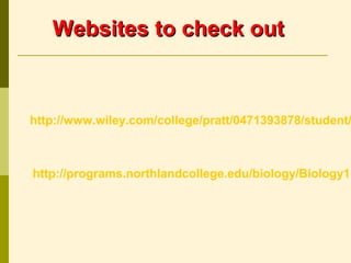 AP Bio Ch 7 ppt | PPT