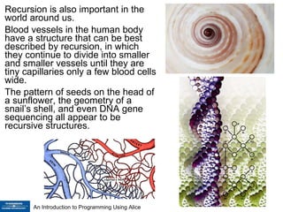 Ch 7 recursion | PPT