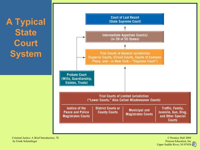 Ch7 the courts | PPTX | Law