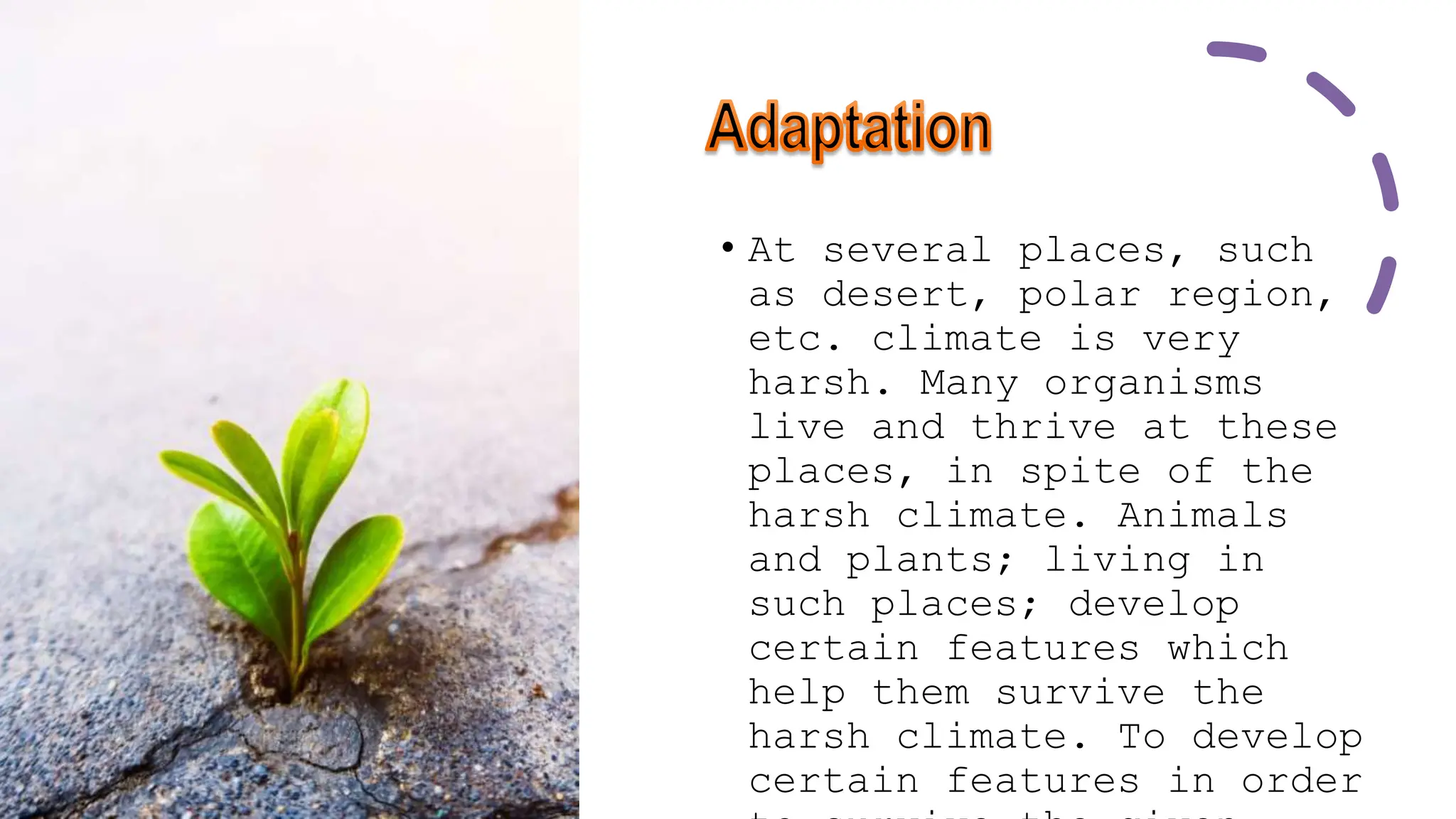 Ch 7 Weather Climate and Adaptation 1.pptx