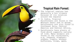 Ch 7 Weather Climate and Adaptation 1.pptx