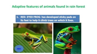 Ch 7 Weather Climate and Adaptation 1.pptx