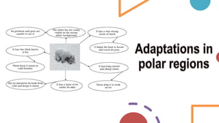 Ch 7 Weather Climate and Adaptation 1.pptx