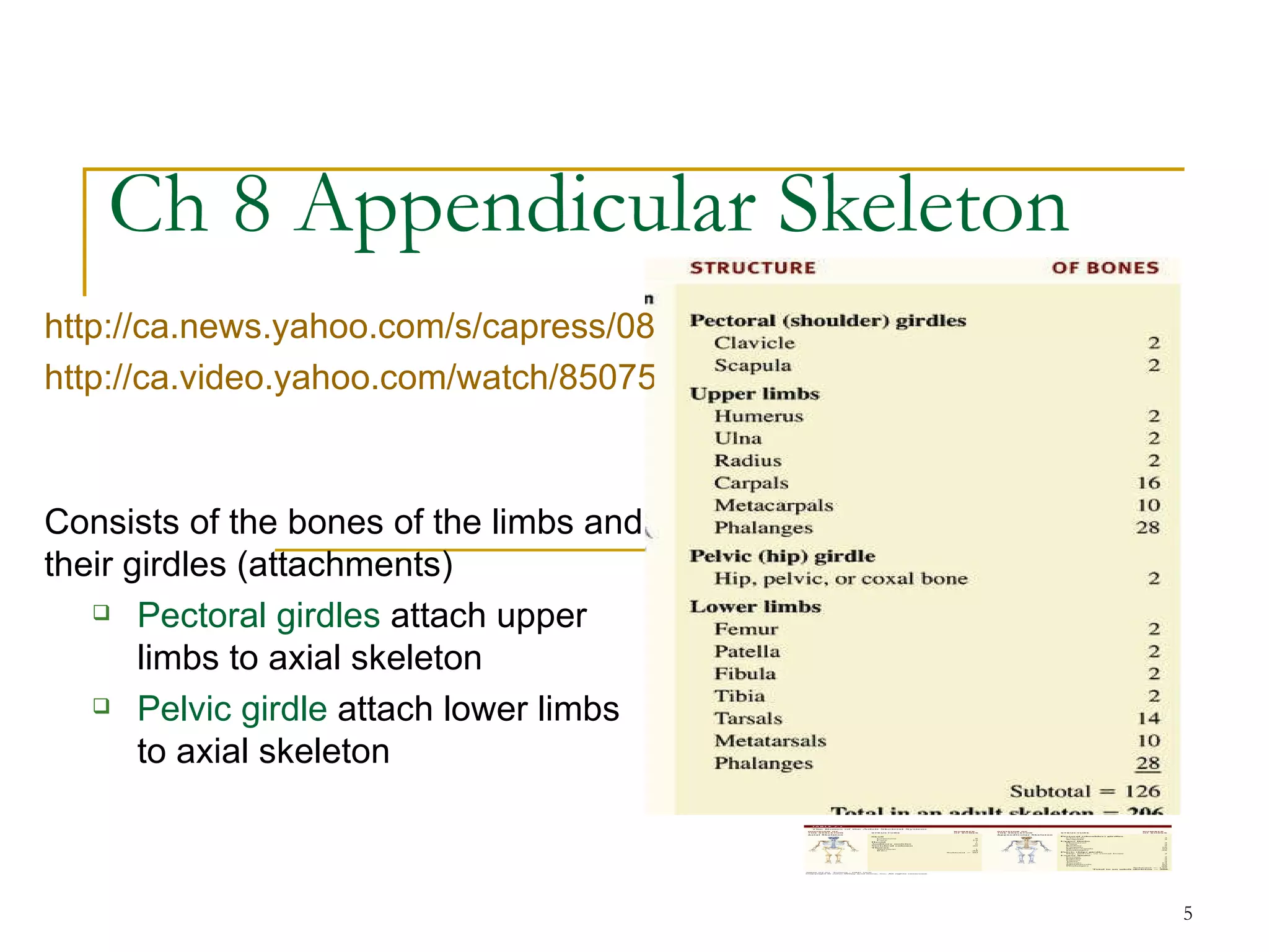 Ch 8 11 appendicular skeleton muscle | PPT