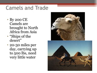 Africa and Islam (Ch 8) | PPT