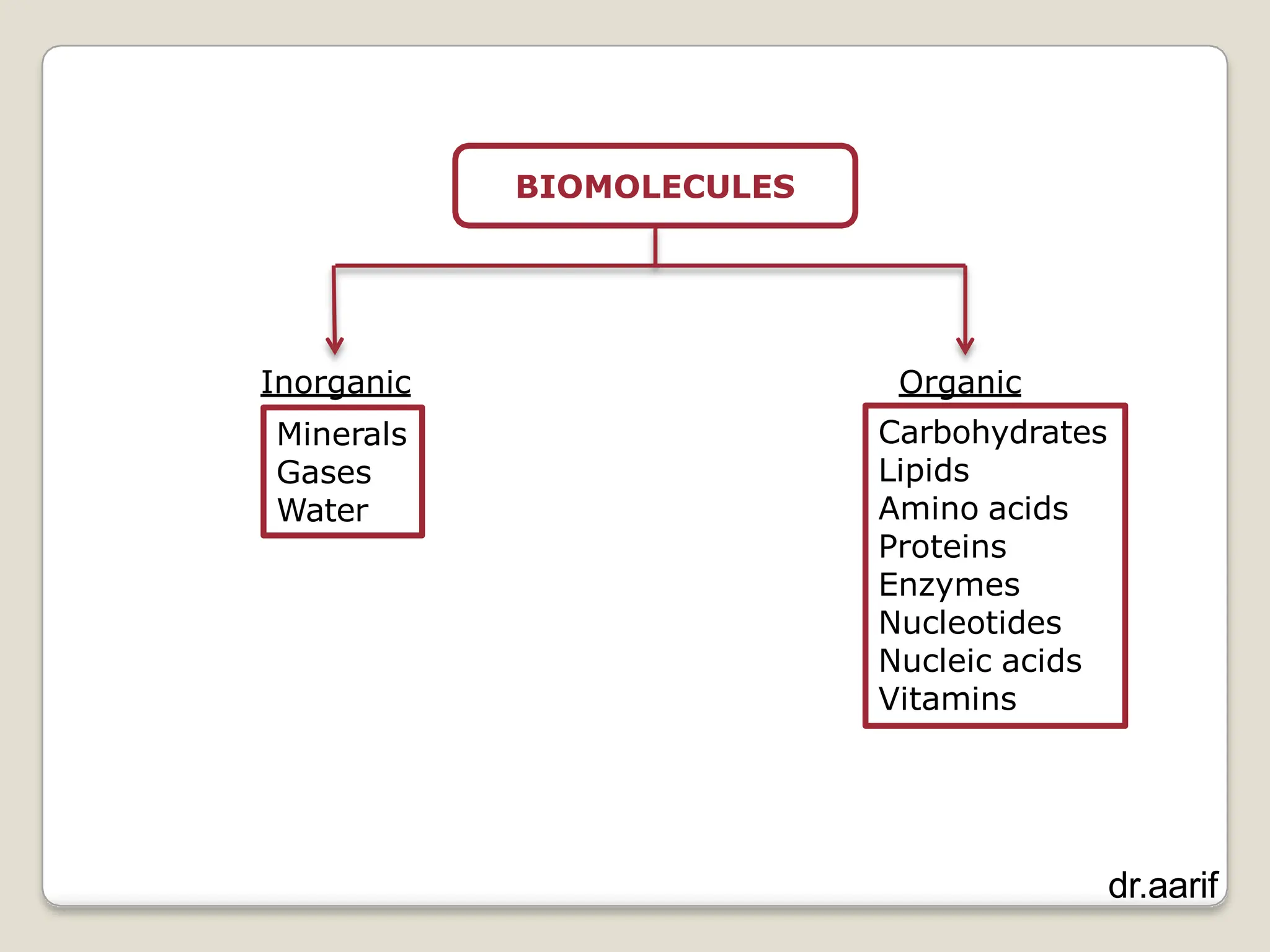 ch 8 biomolecules ppt-converted (1).pptx