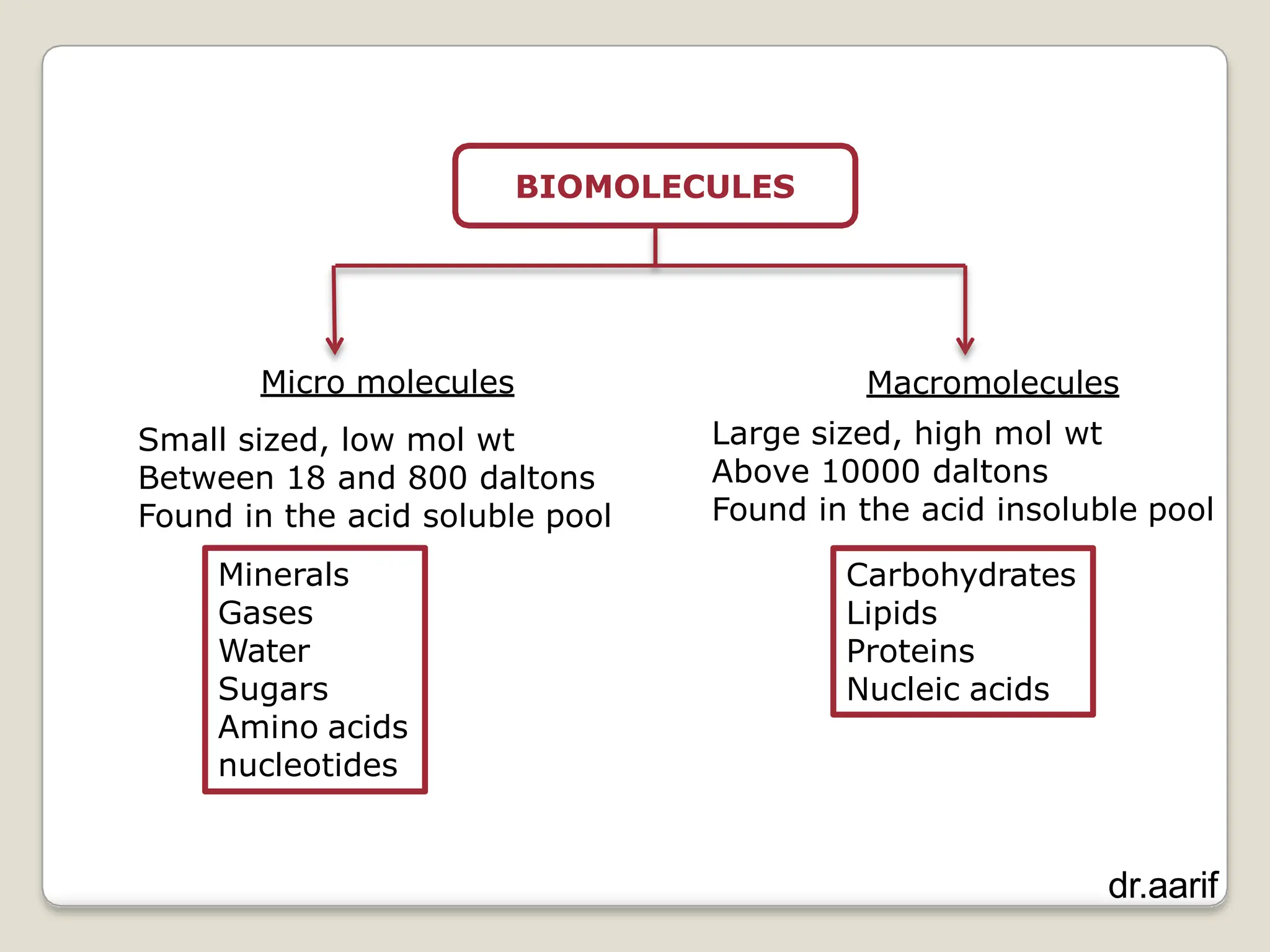 ch 8 biomolecules ppt-converted (1).pptx