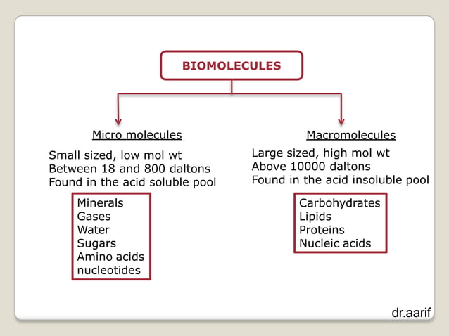 ch 8 biomolecules ppt-converted (1).pptx