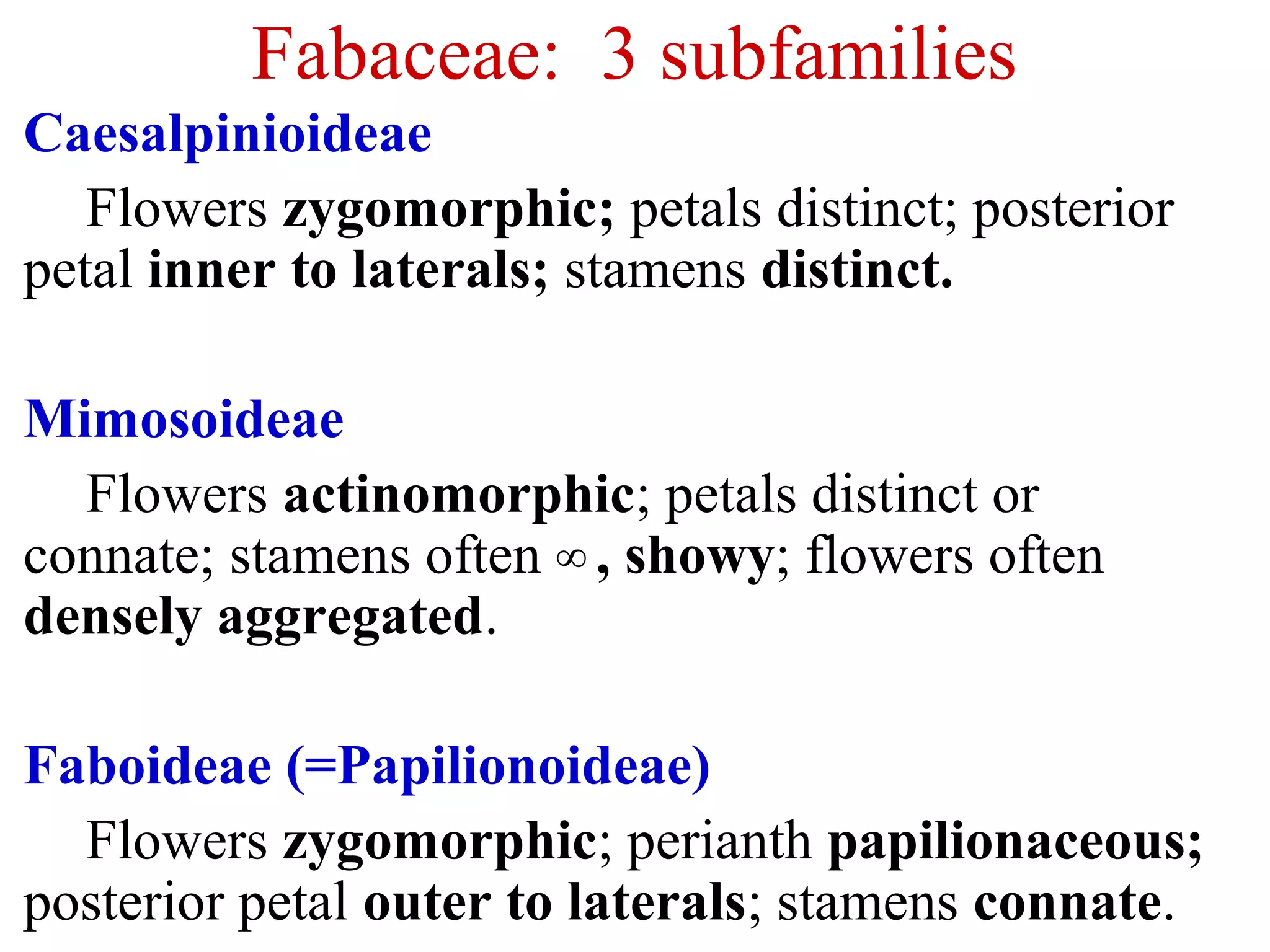 Botany Lecture Ch8bmodified | PPT