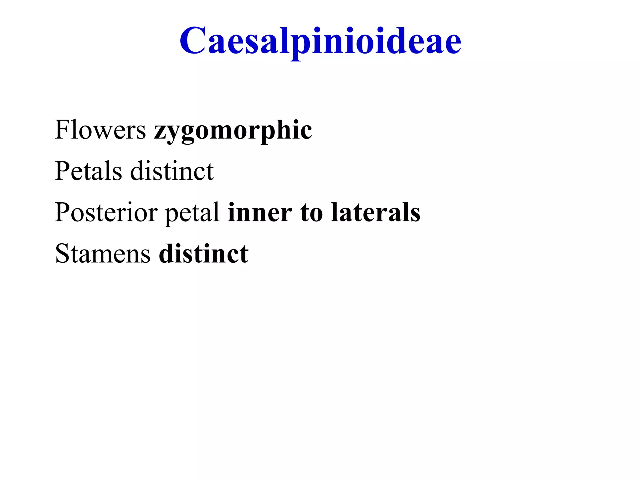 Botany Lecture Ch8bmodified | PPT