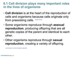 Cell Reproduction -- Sexual and Asexual | PDF