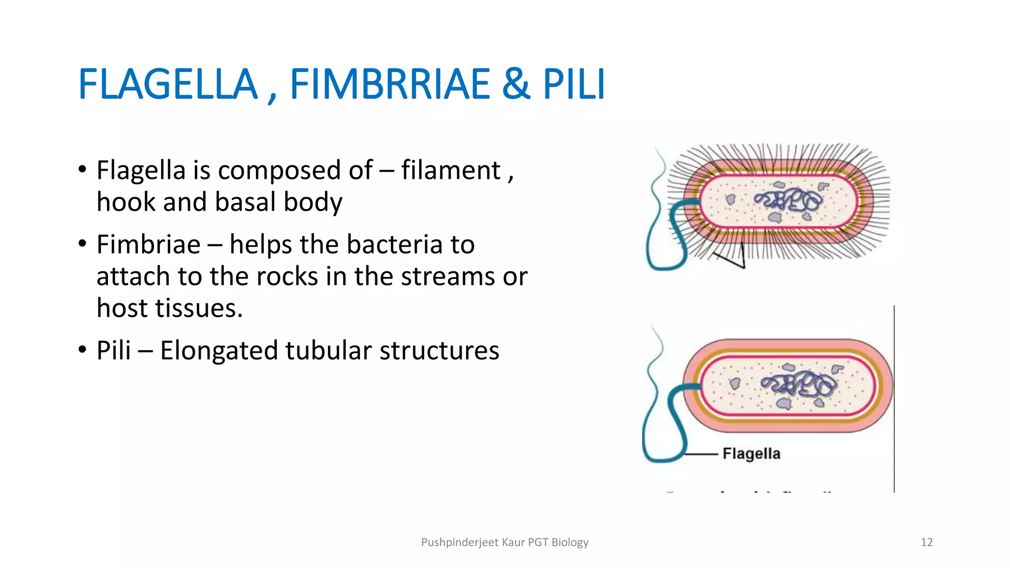 Ch 8 cell the unit of life class xi | PDF