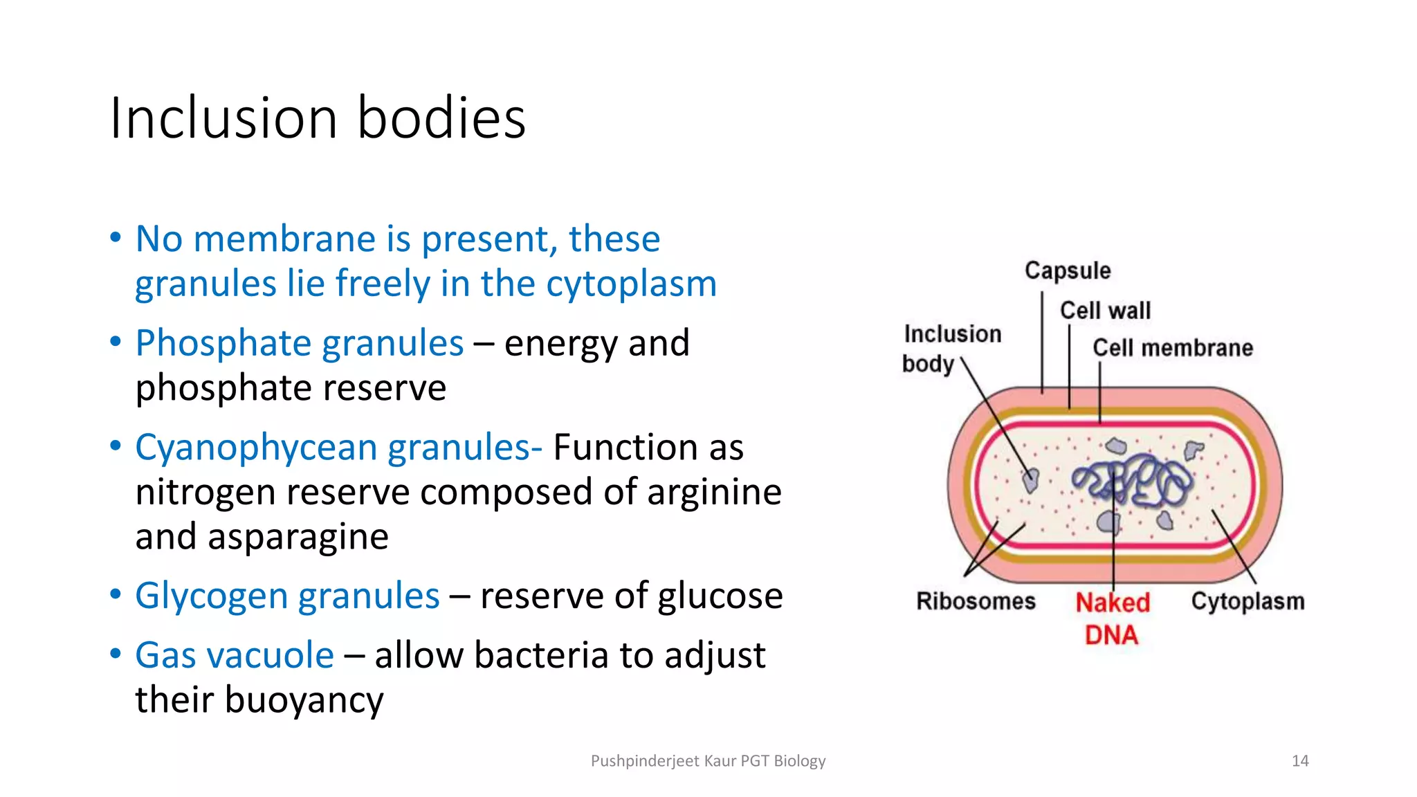 Ch 8 cell the unit of life class xi | PDF