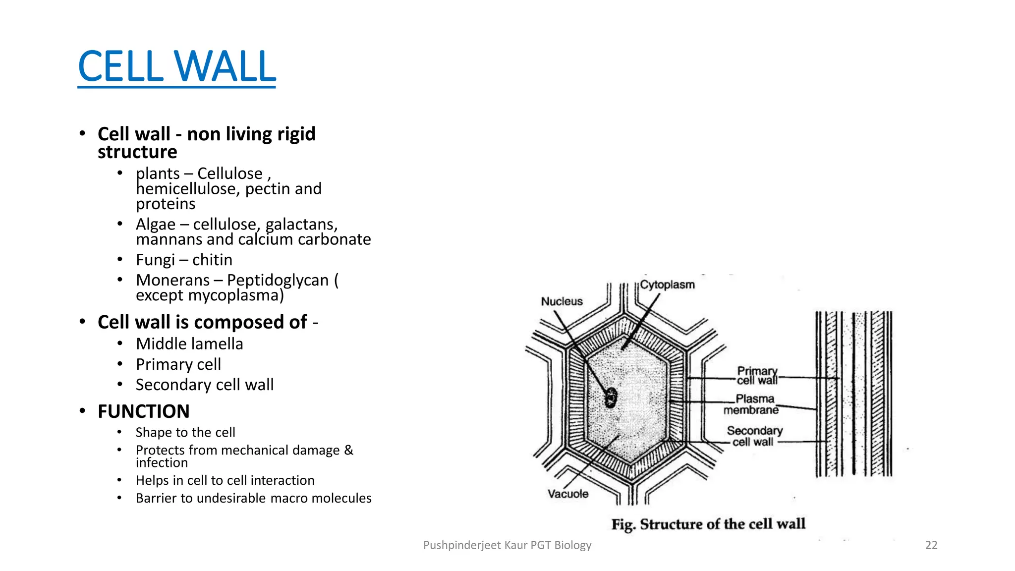 Ch 8 cell the unit of life class xi | PDF