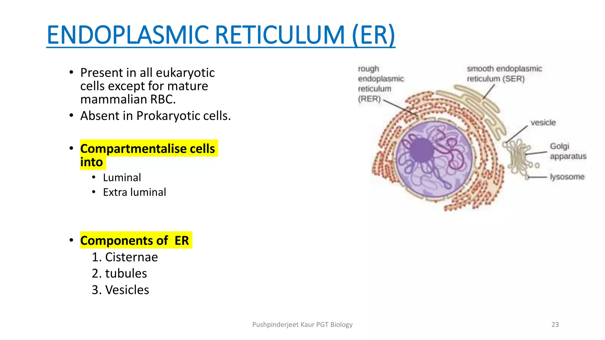 Ch 8 cell the unit of life class xi | PDF