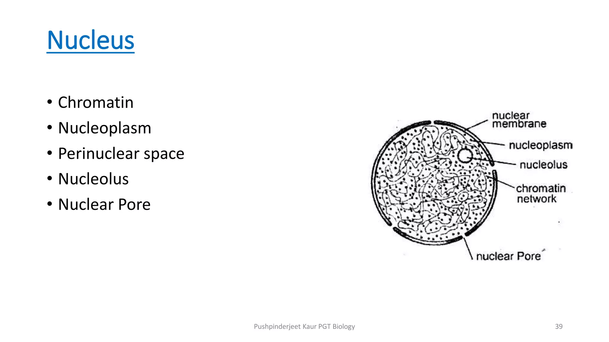 Ch 8 cell the unit of life class xi | PDF