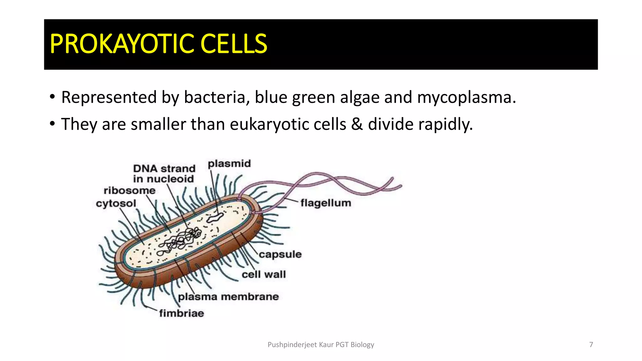 Ch 8 cell the unit of life class xi | PDF