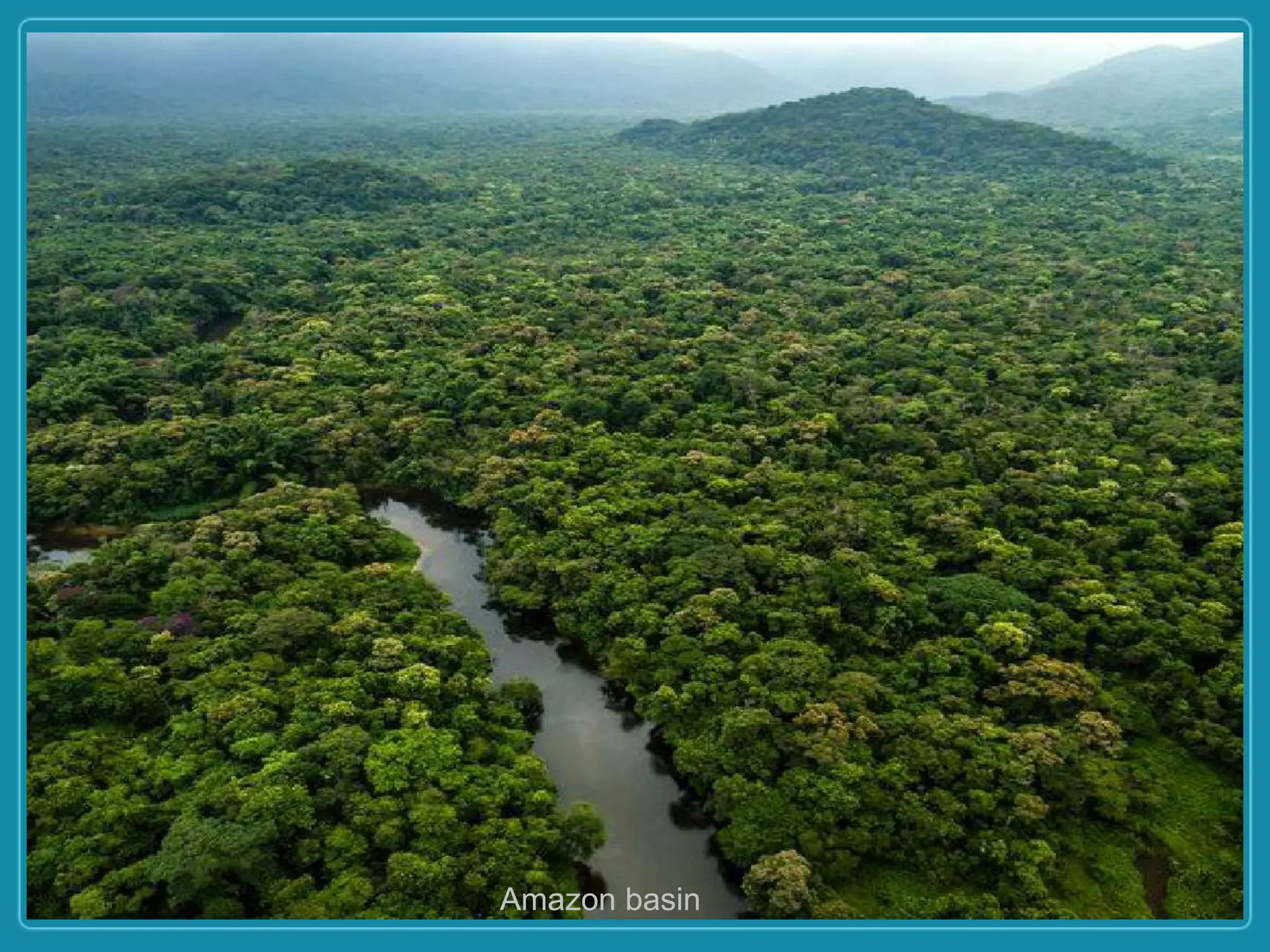 Ch 8 Human Environment Interactions The Tropical the Subtropical Region ...