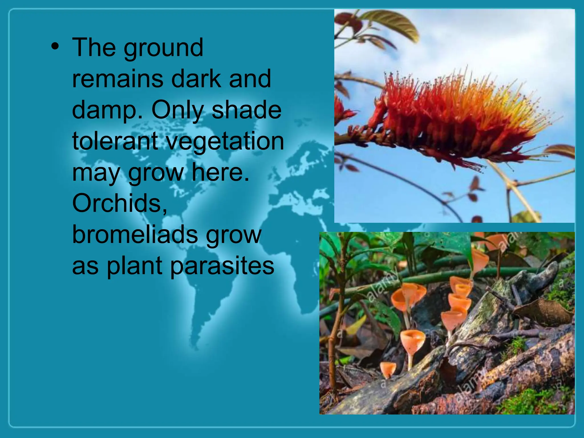 Ch 8 Human Environment Interactions The Tropical the Subtropical Region ...