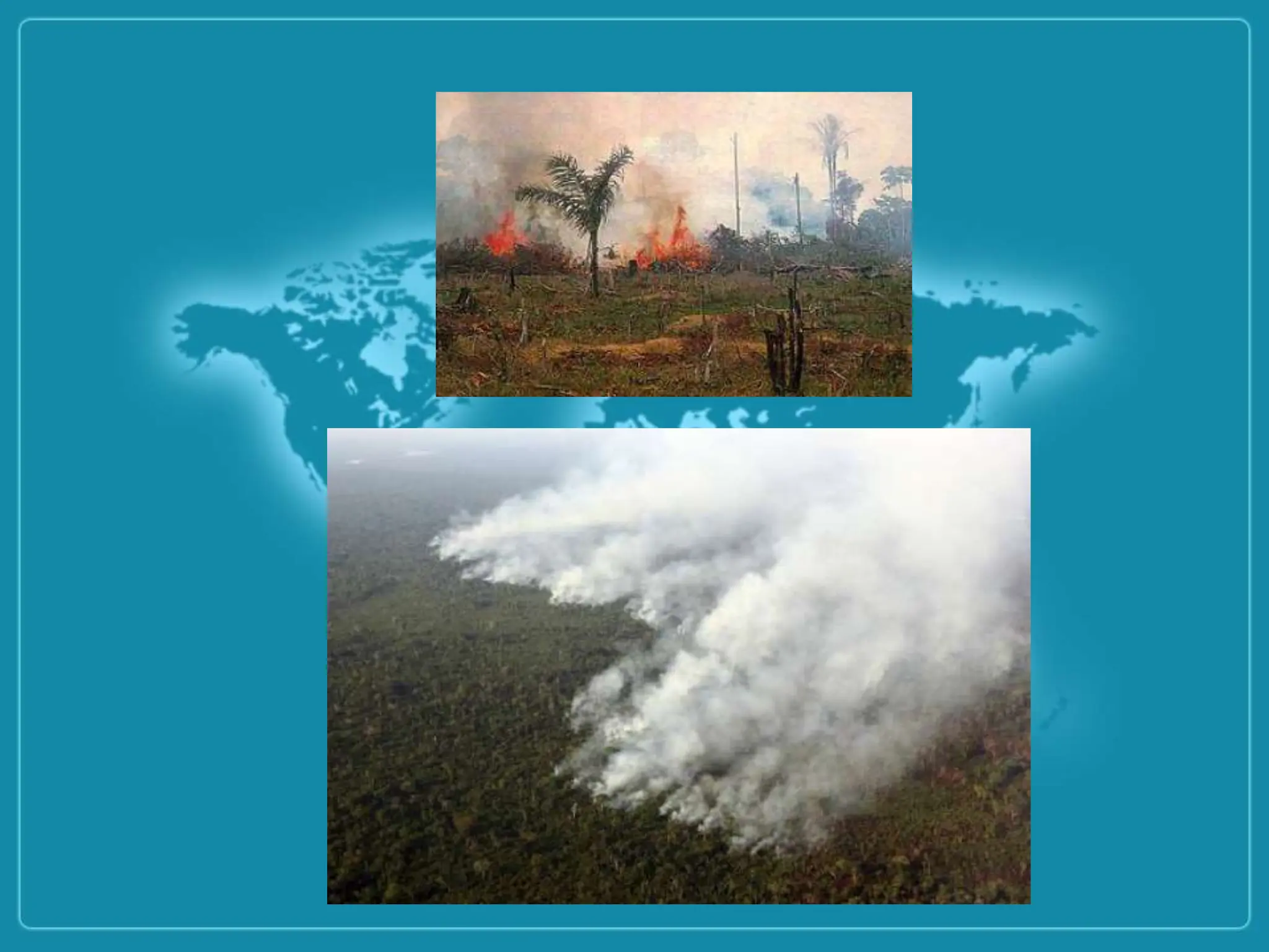 Ch 8 Human Environment Interactions The Tropical the Subtropical Region ...