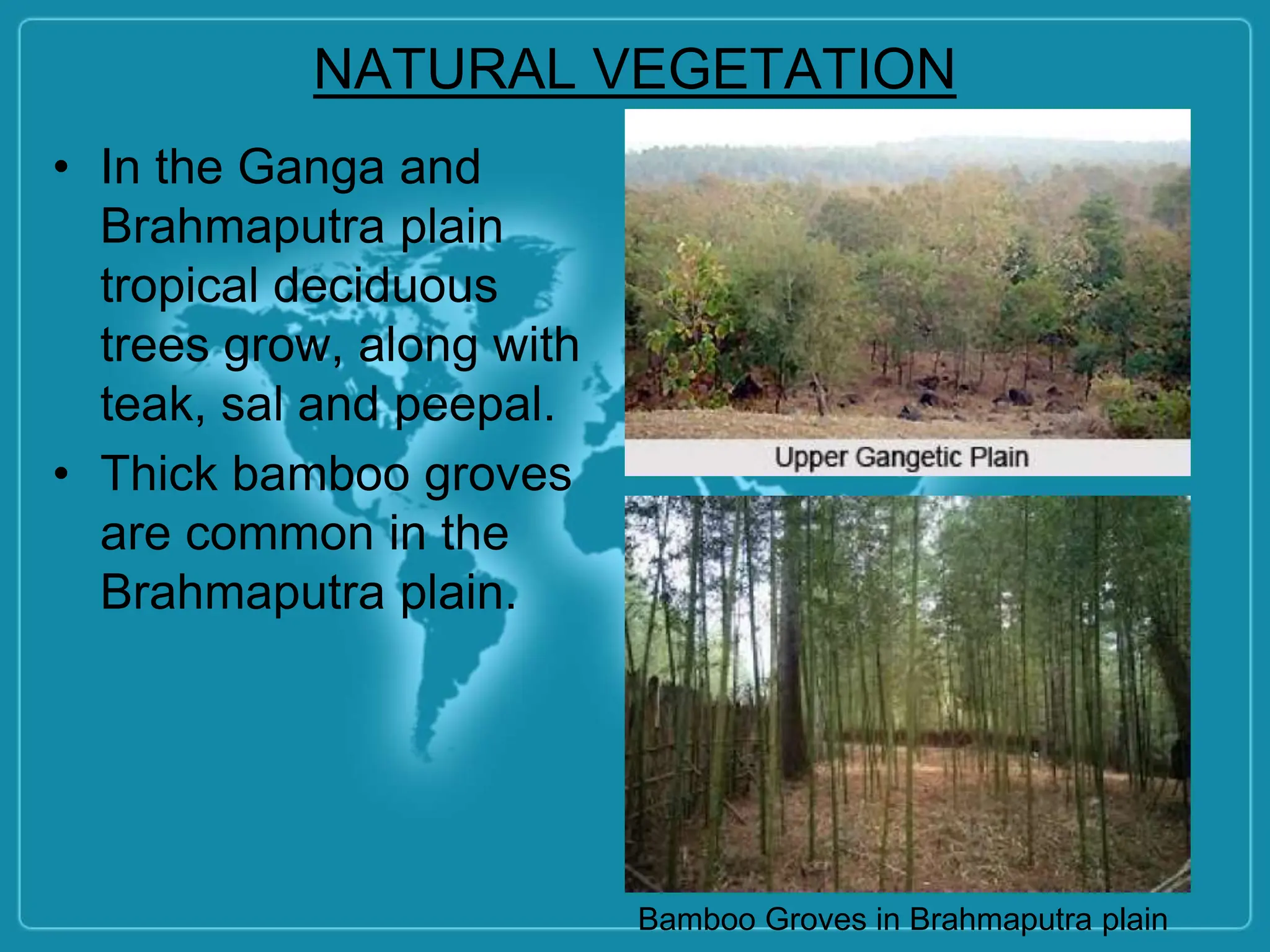 Ch 8 Human Environment Interactions The Tropical the Subtropical Region ...