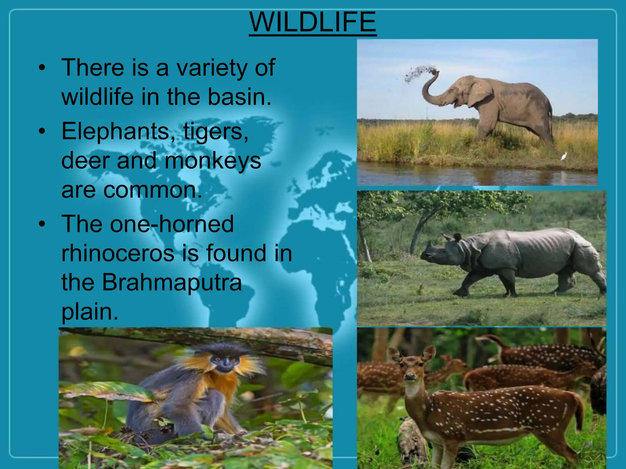 Ch 8 Human Environment Interactions The Tropical the Subtropical Region ...