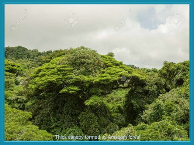 Ch 8 Human Environment Interactions The Tropical the Subtropical Region ...