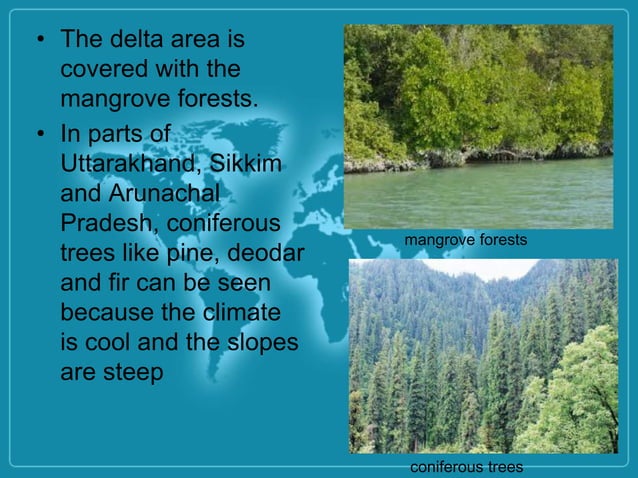 Ch 8 Human Environment Interactions The Tropical The Subtropical Region 1pptx