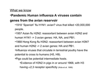 Influenza A from Basic, prevention, and therapy | PPT
