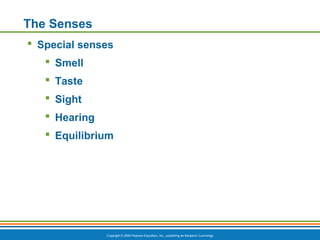 Ch8ppt special senses 1 | PPT