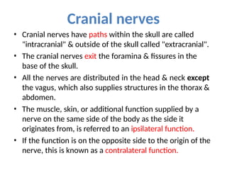 Ch8, The Cranial,m m,bkjbkjh Nerves.pptx