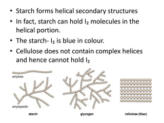 Biomolecules | PPT