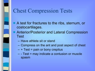 Thorax and Abdomen Information | PPT