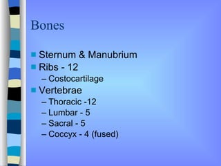 Thorax and Abdomen Information | PPT