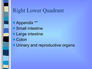 Thorax and Abdomen Information | PPT