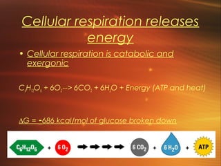 AP Biology Introduction to Cellular Respiration Ch. 7 | PPT | Chemistry ...