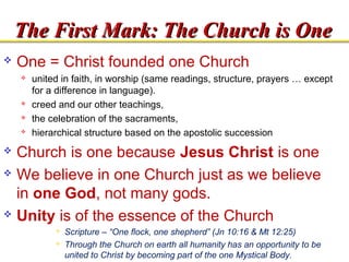The Four Marks of the Church: One, Holy, Catholic, Apostolic | PPT