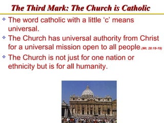 The Four Marks of the Church: One, Holy, Catholic, Apostolic | PPT