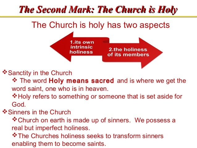 The Four Marks of the Church: One, Holy, Catholic, Apostolic