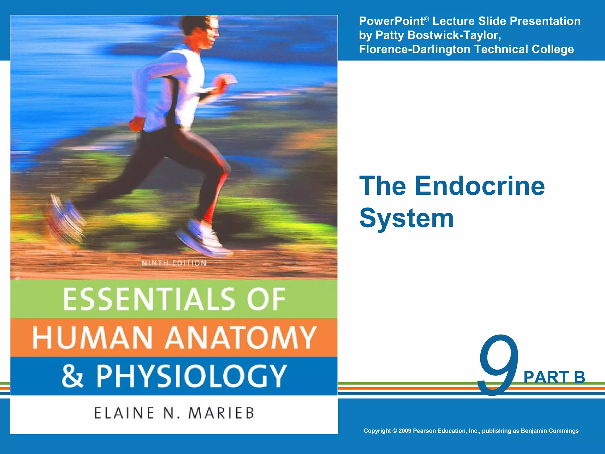 Ch9appt endocrine system | PPT