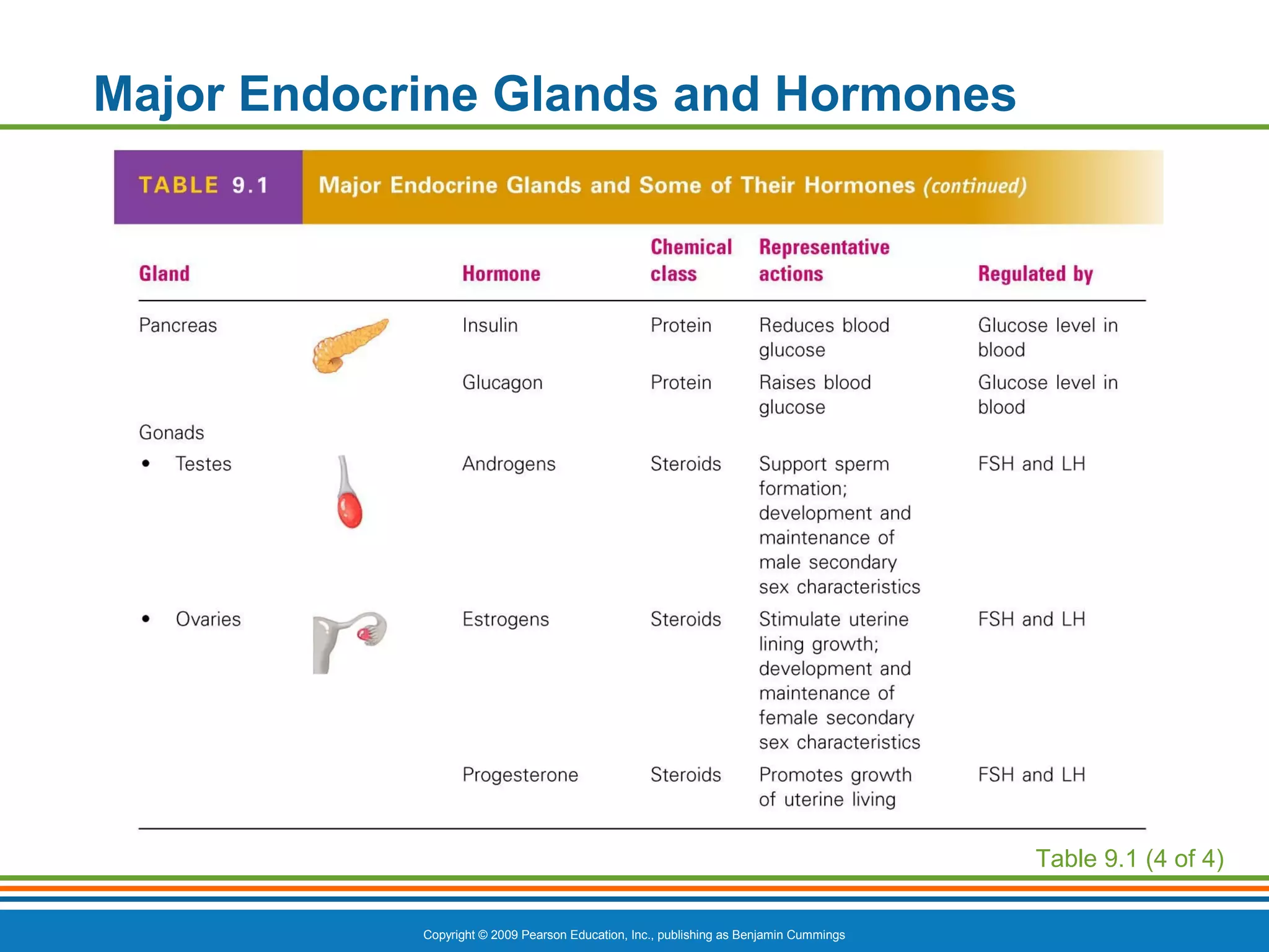 Ch9appt endocrine system | PPT